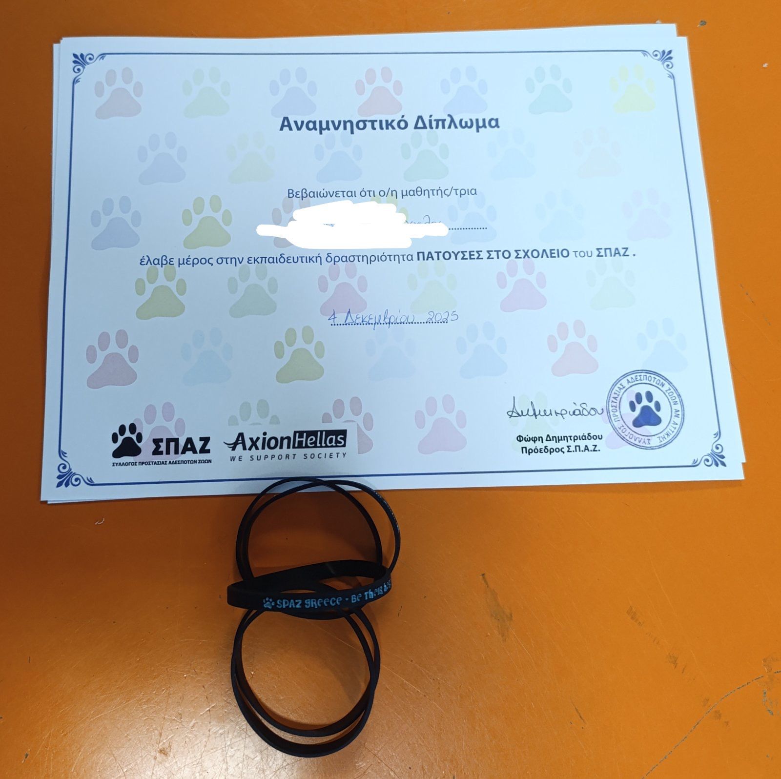 We support society - Axion Hellas